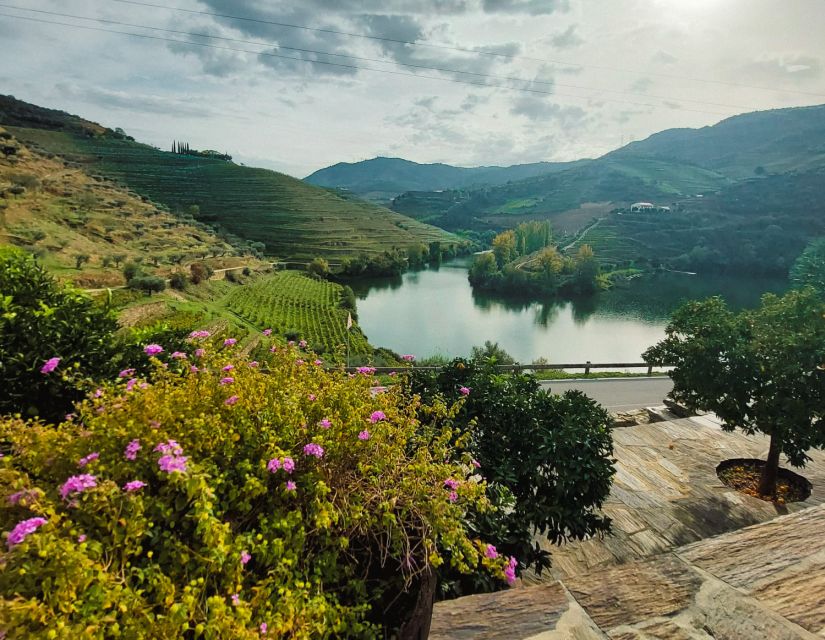 From Porto: Full-Day Douro Valley Wine Tour | Travel Buddies