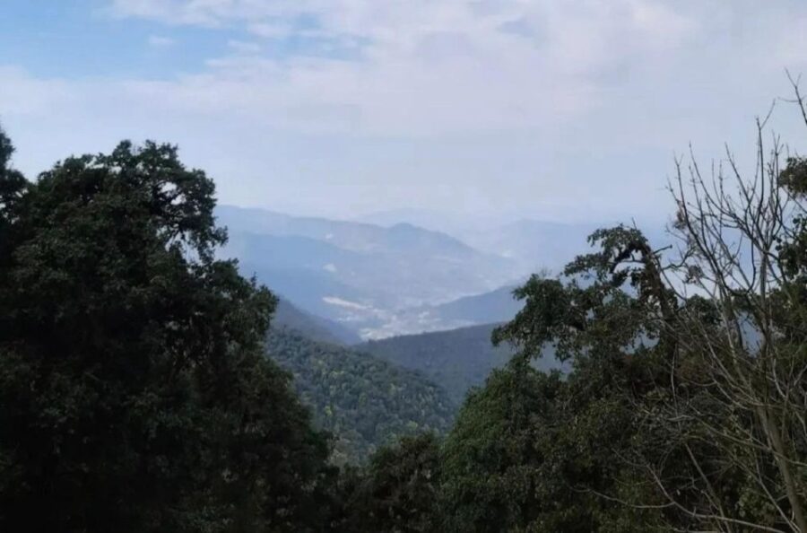 Kathmandu: Phulchowki Day Hiking | Travel Buddies