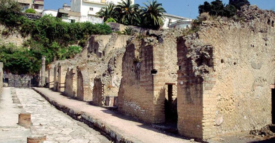 Naples: Pompeii, Herculaneum, and Vesuvius Tour by Minivan | Travel Buddies