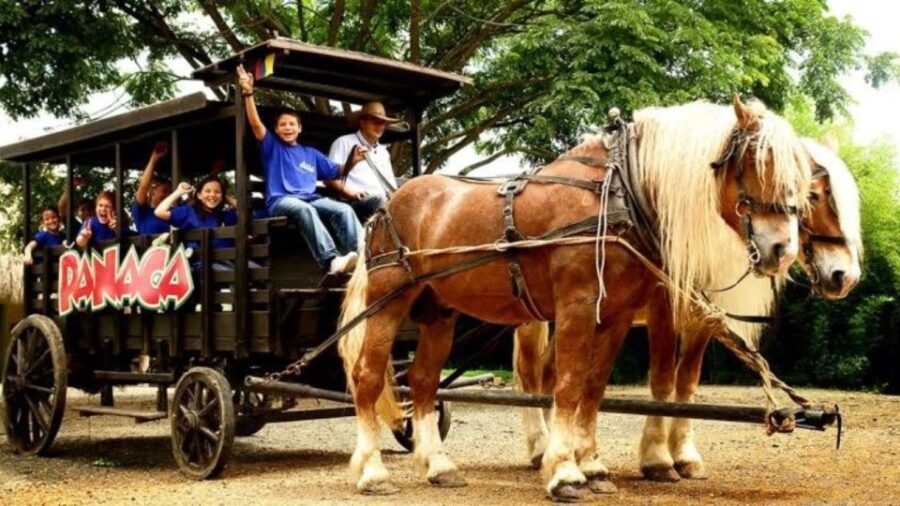 Panaca Park Tour From Pereira or Armenia | Travel Buddies