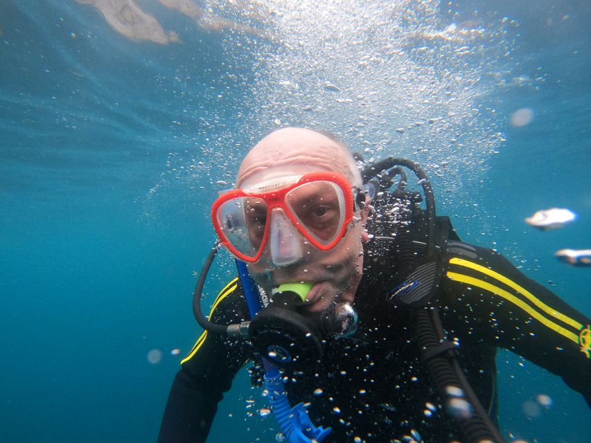 Tenerife: Puerto Colon Discover Scuba Diving Trip | Travel Buddies