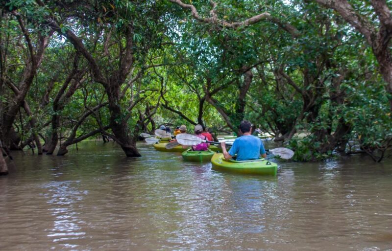 Kayaking & Floating Village in Siem Reap | Travel Buddies