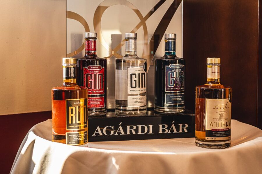 Budapest: Hungarian Whisky, Gin, and Pálinka Tasting | Travel Buddies