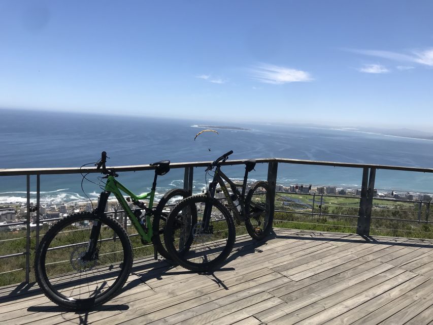 Cape Town: Mountain Biking Trip on Table Mountain | Travel Buddies