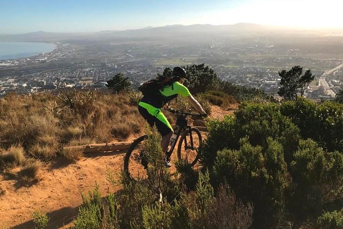 Cape Town MTB Table Mountain - Constantia Morning Tour | Travel Buddies