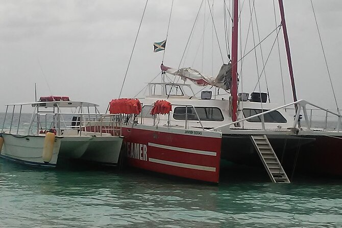 Cruise Ship Shore Excursions: for Any Cruise Lines. | Travel Buddies