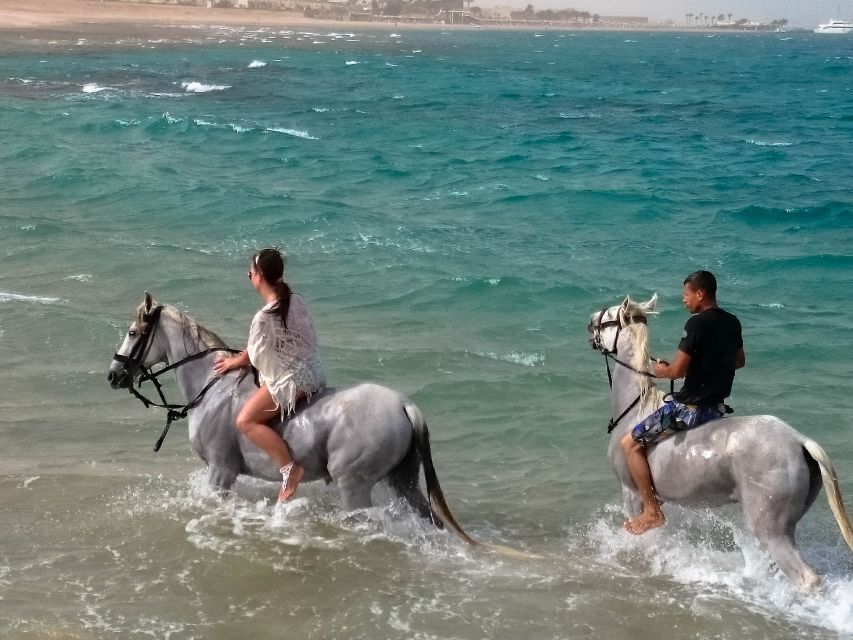 El Gouna: Desert & Sea Horse Riding With Swimming Optional | Travel Buddies