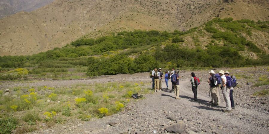 Hiking in Morocco 2 Days From Marrakech | Travel Buddies