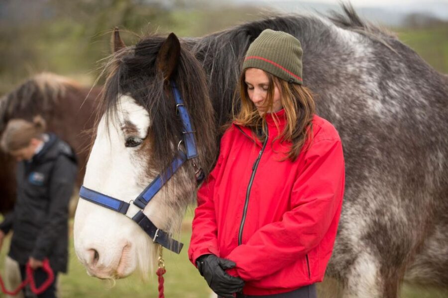 Meditate With Horses Full Circle Experiences | Travel Buddies