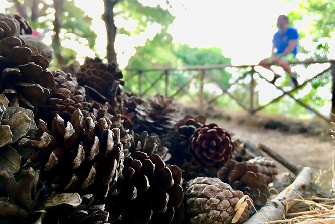 Naturalistic Excursion to Ustica | Travel Buddies