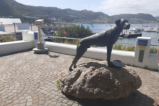 Private Cape Point / Peninsula Tour | Travel Buddies