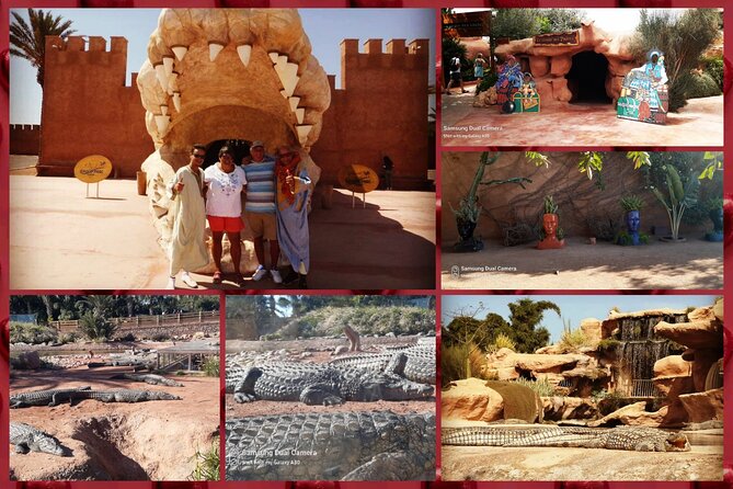 Trip To Croco Park | Travel Buddies