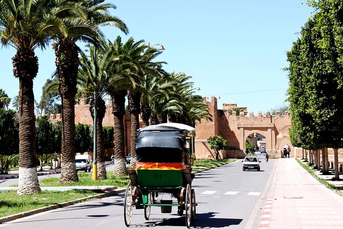 Visit Taroudant and Tiout 1 Day From Agadir | Travel Buddies