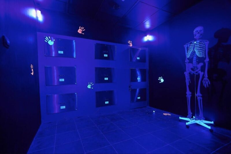 Budapest: Escape Room Game, Secret Surgery | Travel Buddies