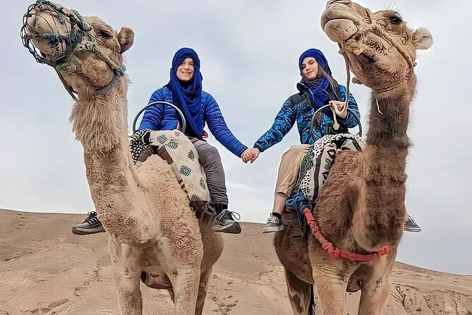 Dinner Show & Camel Ride With Sunset Views | Travel Buddies