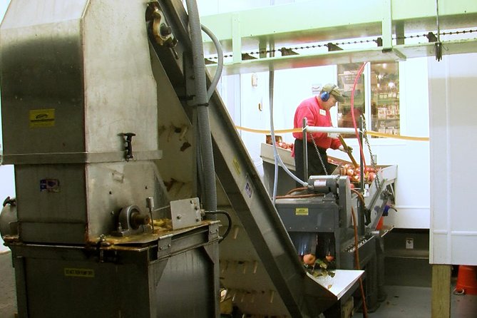 Fly Creek Cider Mill & Orchard - Private Tour With Owner | Travel Buddies