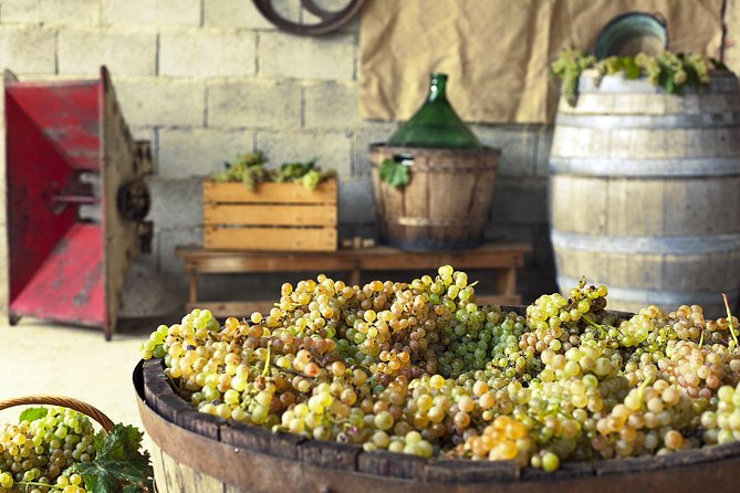 Grape Stomping in Tuscan Farmhouse From Florence | Travel Buddies