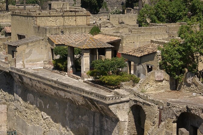 Herculaneum Guided Tour With Pick up in Naples | Travel Buddies