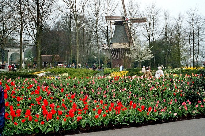 Keukenhof and Flower Fields Private Tour From Amsterdam | Travel Buddies