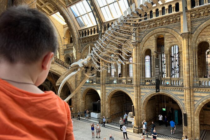 Kid-Friendly Natural History Museum & Dinosaurs Private Guided Tour in ...