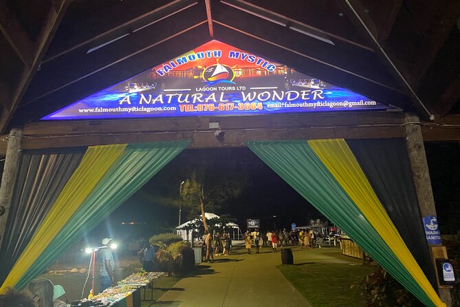 Luminous Lagoon Night Tour From Montego Bay | Travel Buddies