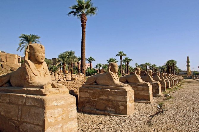 Luxor Full Day Tour East and West (Private Tour) | Travel Buddies