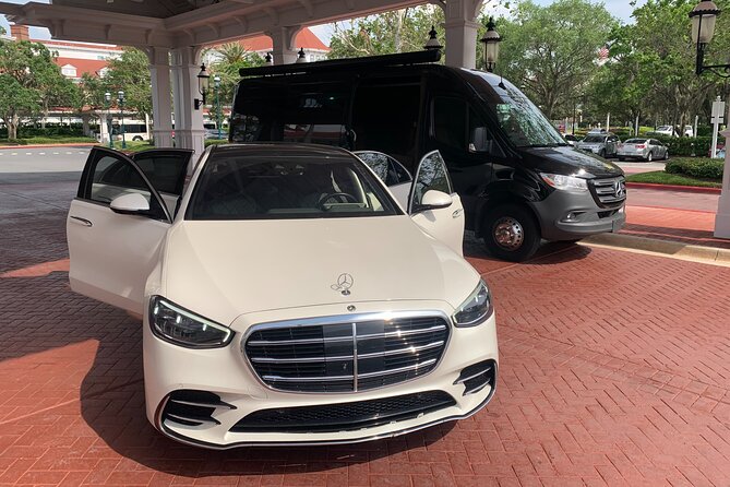 Orlandos Groundbreaking Transportation | Travel Buddies