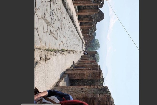 Pompeii, Vesuvius & Wine Tasting Private Day Tour | Travel Buddies