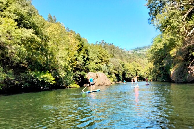 Porto Private Stand-Up Paddle River Tour With Pickup | Travel Buddies