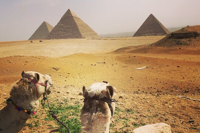 Private Day Tour Giza Pyramids,Camel Ride,Sphinx,Sakkara, Memphes ...