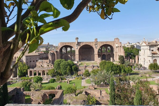 Roman Forum and Palatine Hill Access Review | Travel Buddies