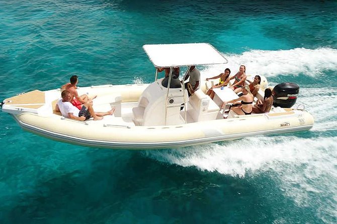 Speed Boat to Dolphin | Travel Buddies