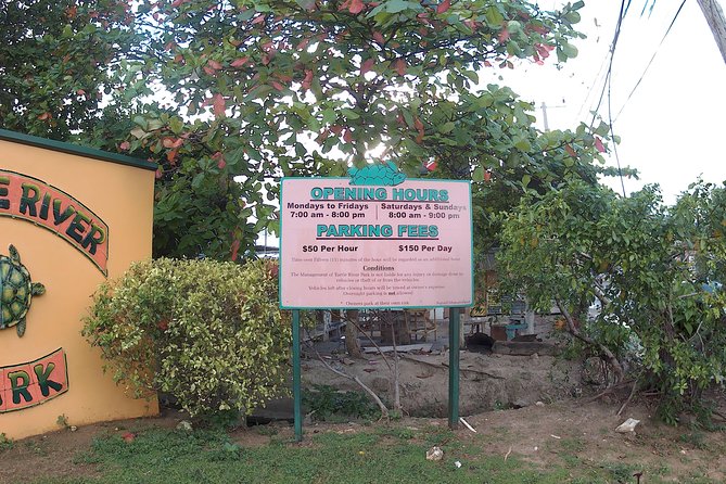 Turtle River Park and Panoramic Sightseeing in the Hills | Travel Buddies