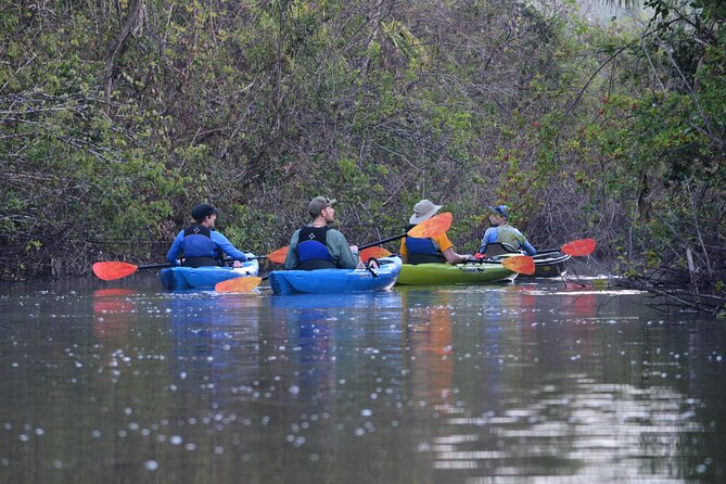 2Hour Everglades Kayak Safari Adventure Through Mangrove Tunnels ...