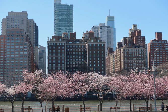 Personalized Experience With Your Local Tour Guide | Travel Buddies