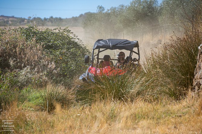 ROUTE IN BUGGY 1,30h | Travel Buddies