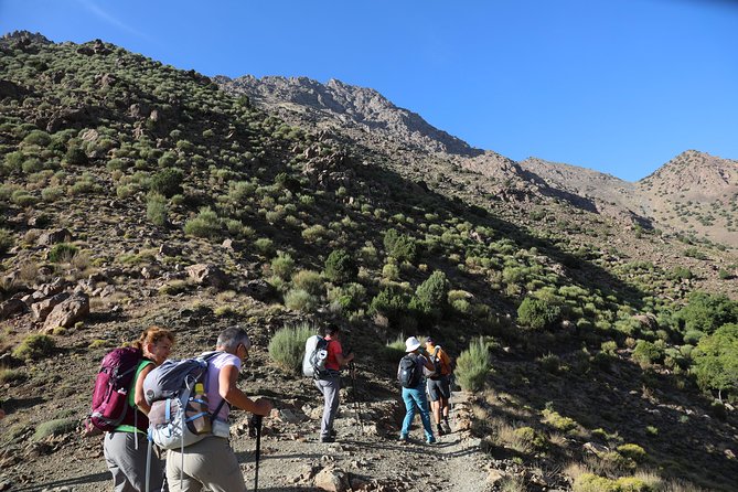 Day Excursion in the Atlas Mountains | Travel Buddies