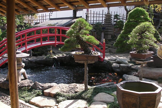 Bonsai and Washi Museum Visit in Tokyo | Travel Buddies