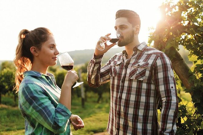 Chianti Tour on Road 222, and Visits to Chianti Wineries | Travel Buddies