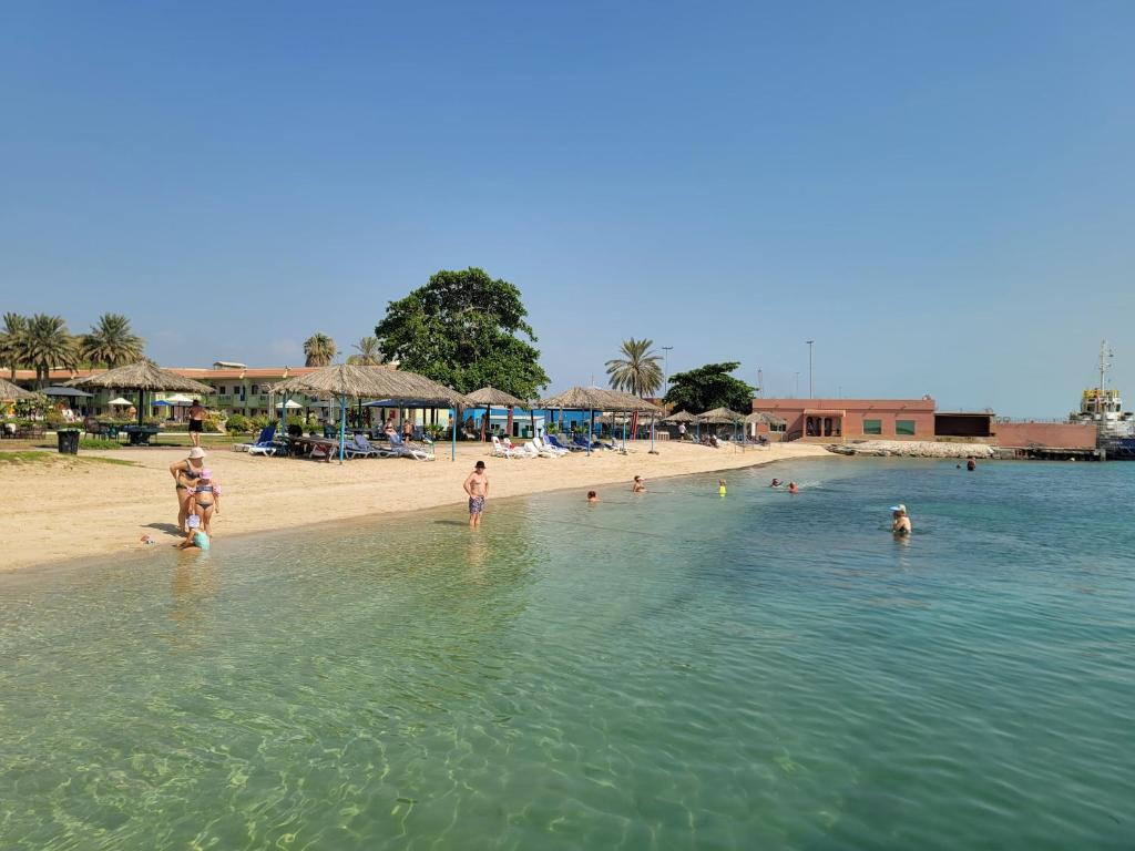 Flamingo Beach Hotel Review | Travel Buddies