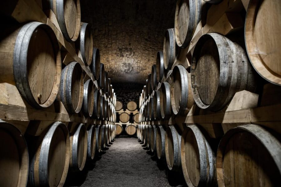 La Roche Vineuse: Visit to the Vine and Wine Museum | Travel Buddies