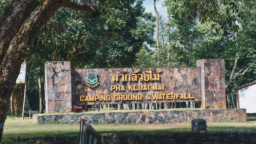 From Bangkok: Khao Yai Full-Day Sightseeing and Trekking | Travel Buddies