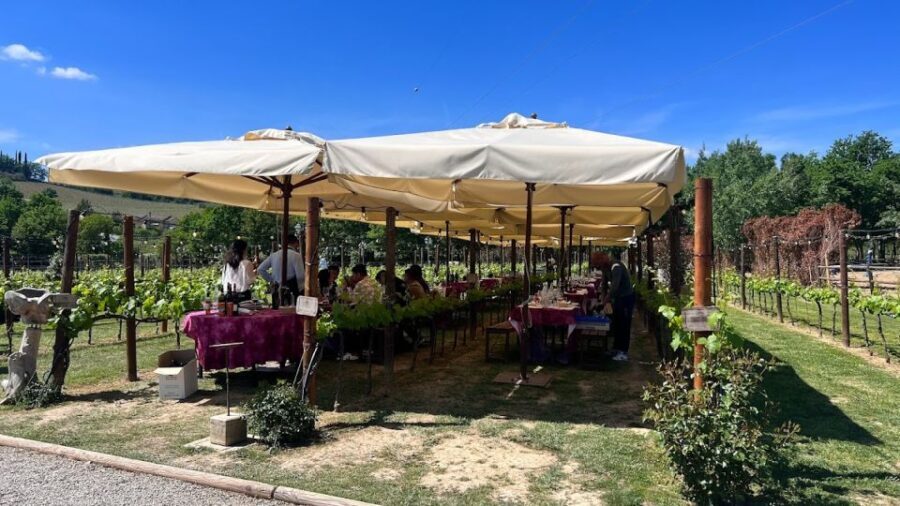 From Rome: Siena and San Gimignano, Tuscan Wine Day Tour | Travel Buddies